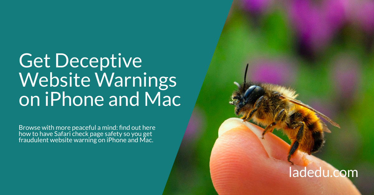 How to Get Deceptive Website Warning in Safari (iPhone/Mac) - La De Du