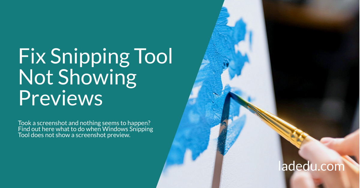 How to Fix Windows Snipping Tool Not Showing the Preview - La De Du