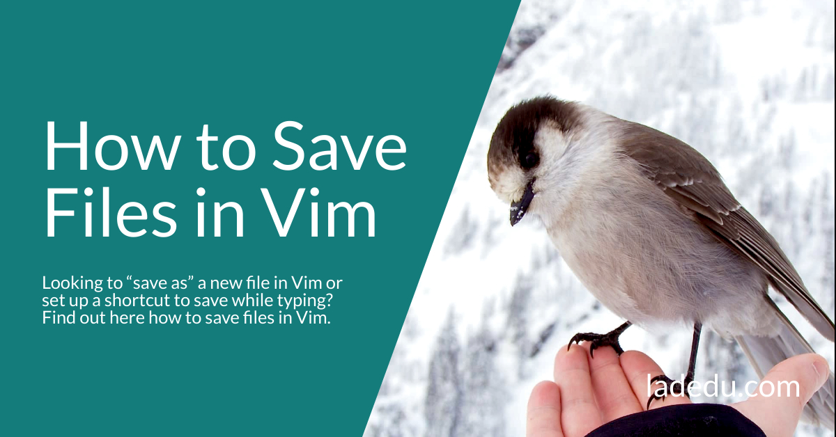 How to Save a File in Vim - La De Du